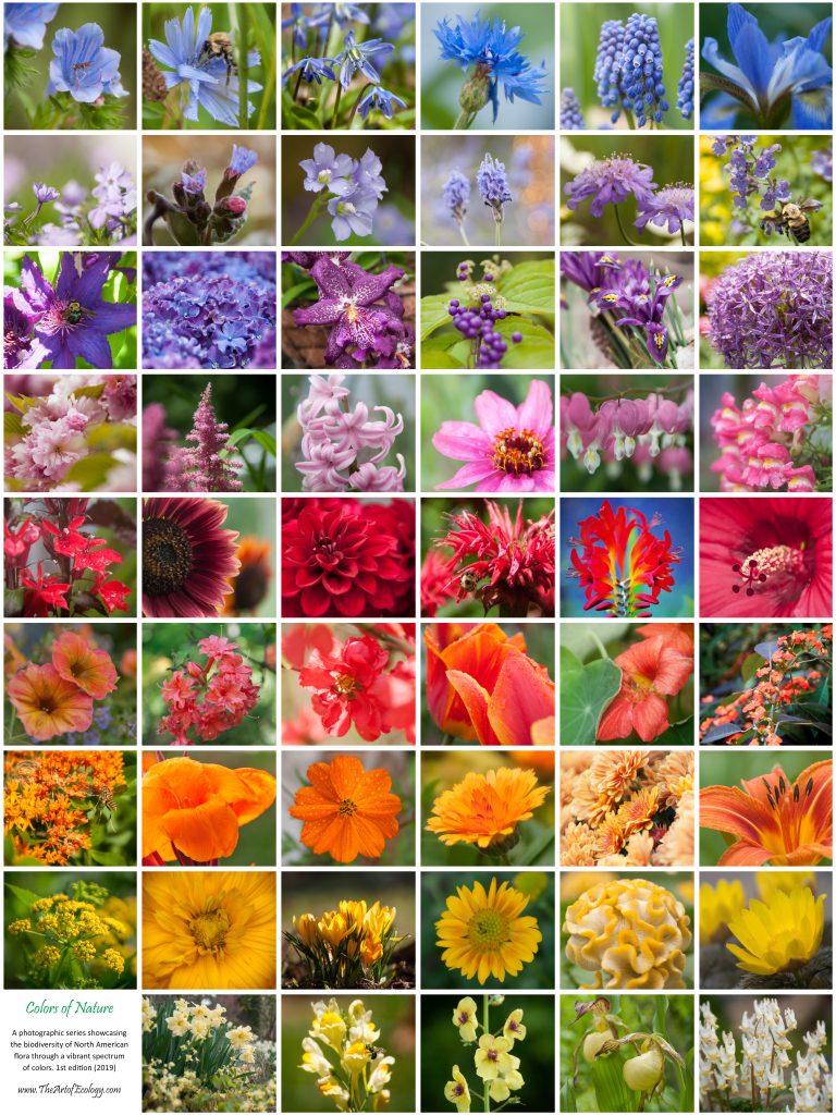 Colors of the Garden Virtual Presentation - The Art of Ecology