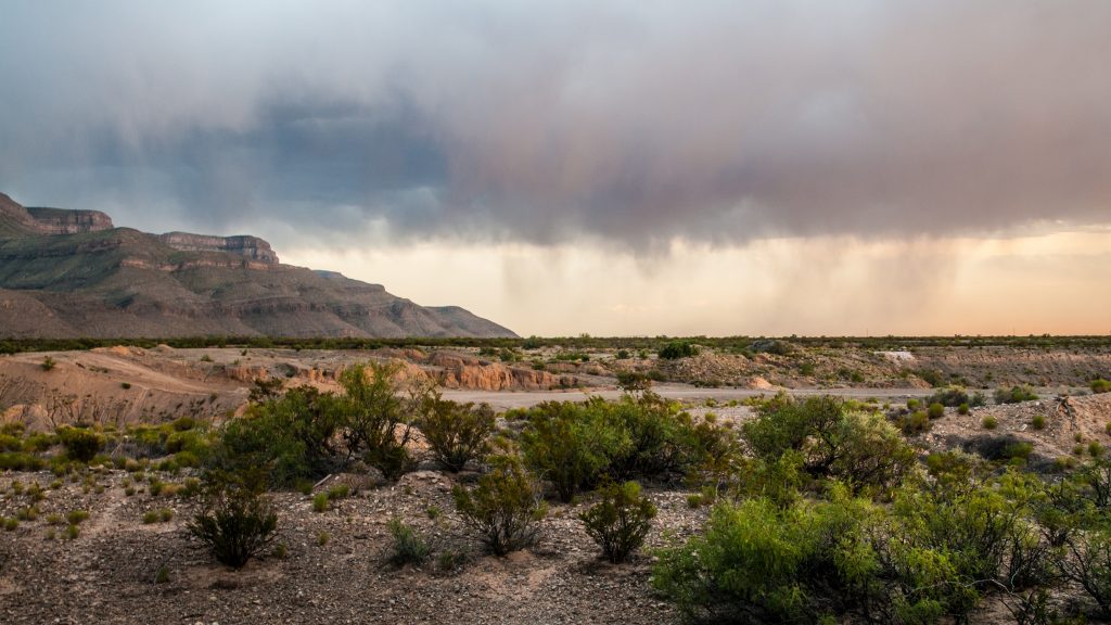 New Mexican Rainfall - The Art of Ecology
