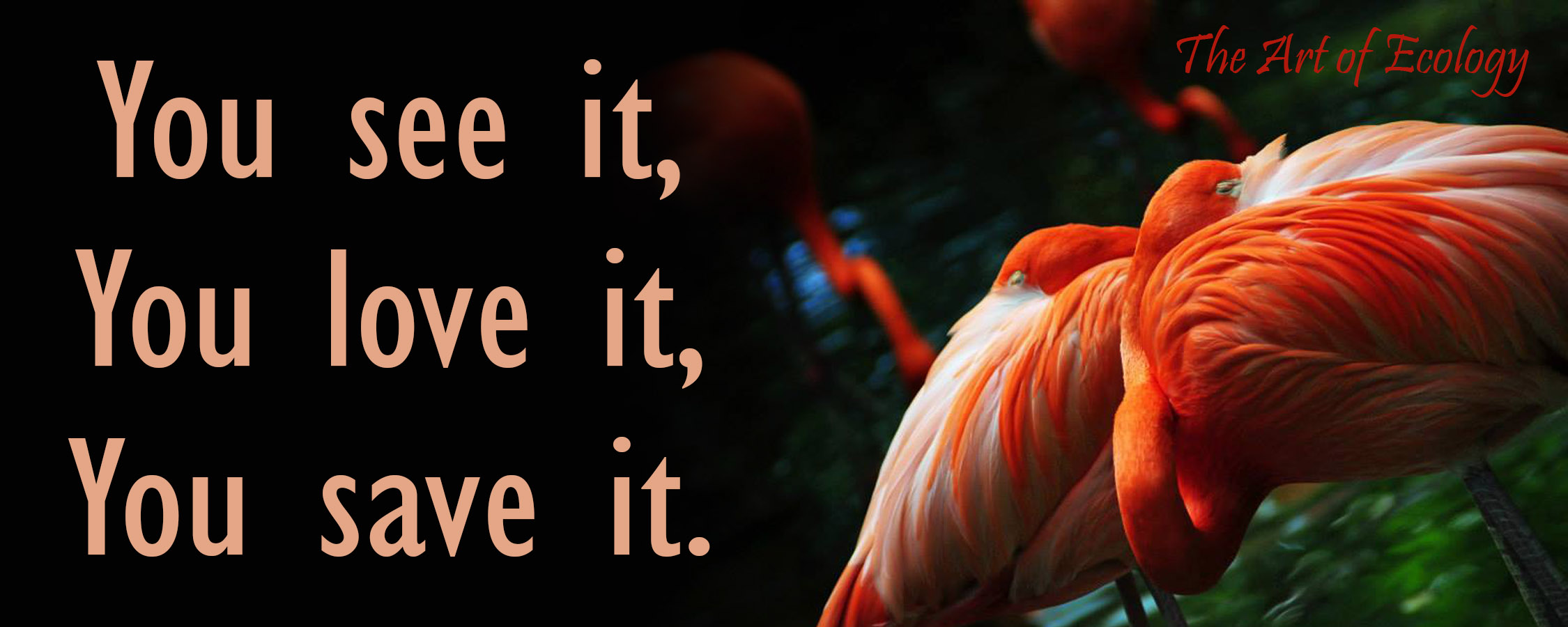 See It, Love It, Save It Sticker - The Art of Ecology