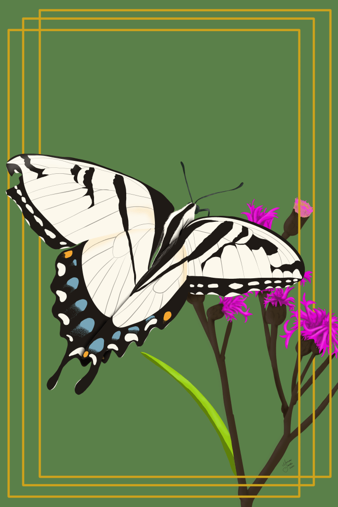 Yellow Swallowtail Illustration Print - The Art of Ecology