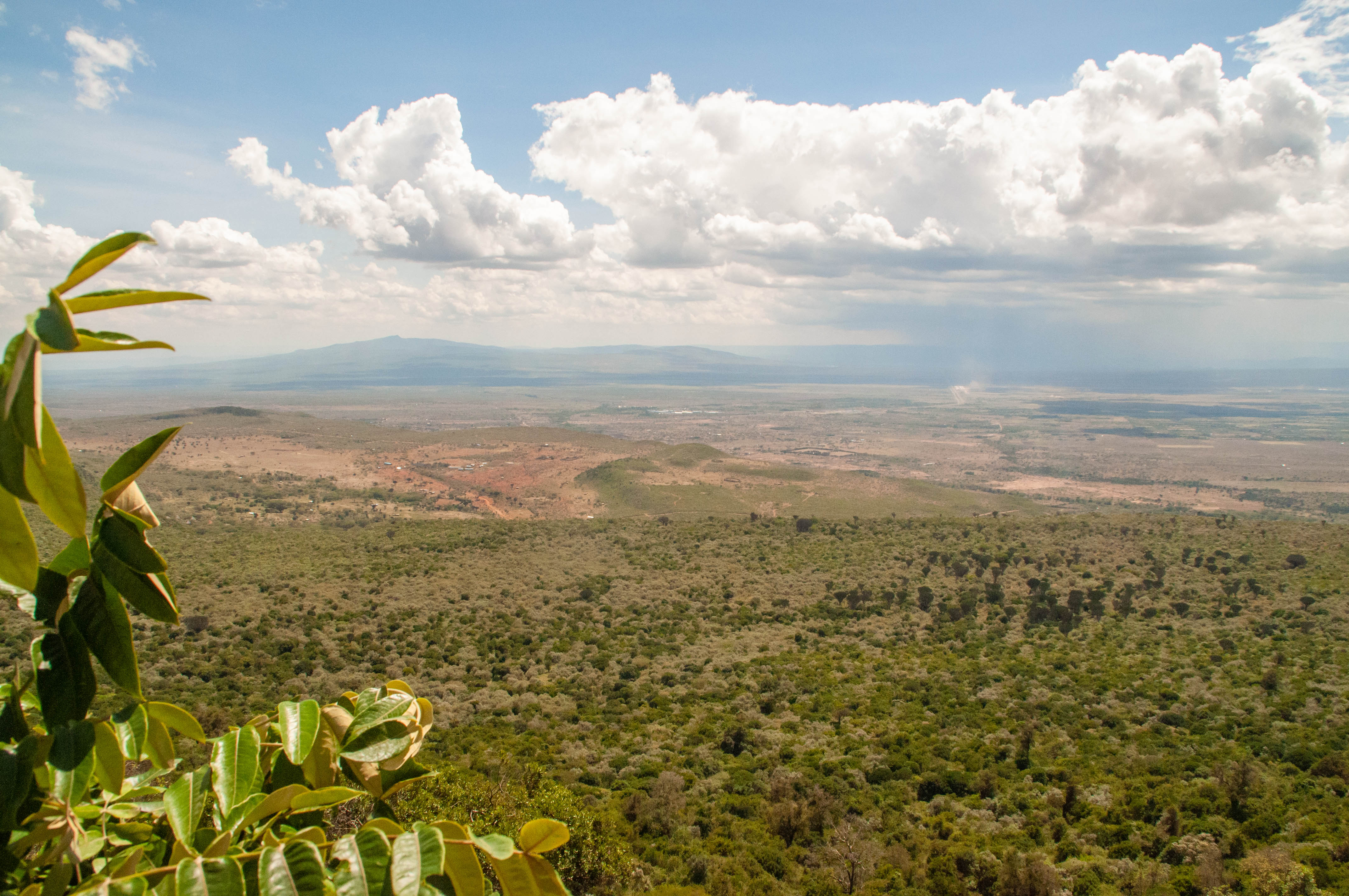 Kenya 2021 - The Art of Ecology