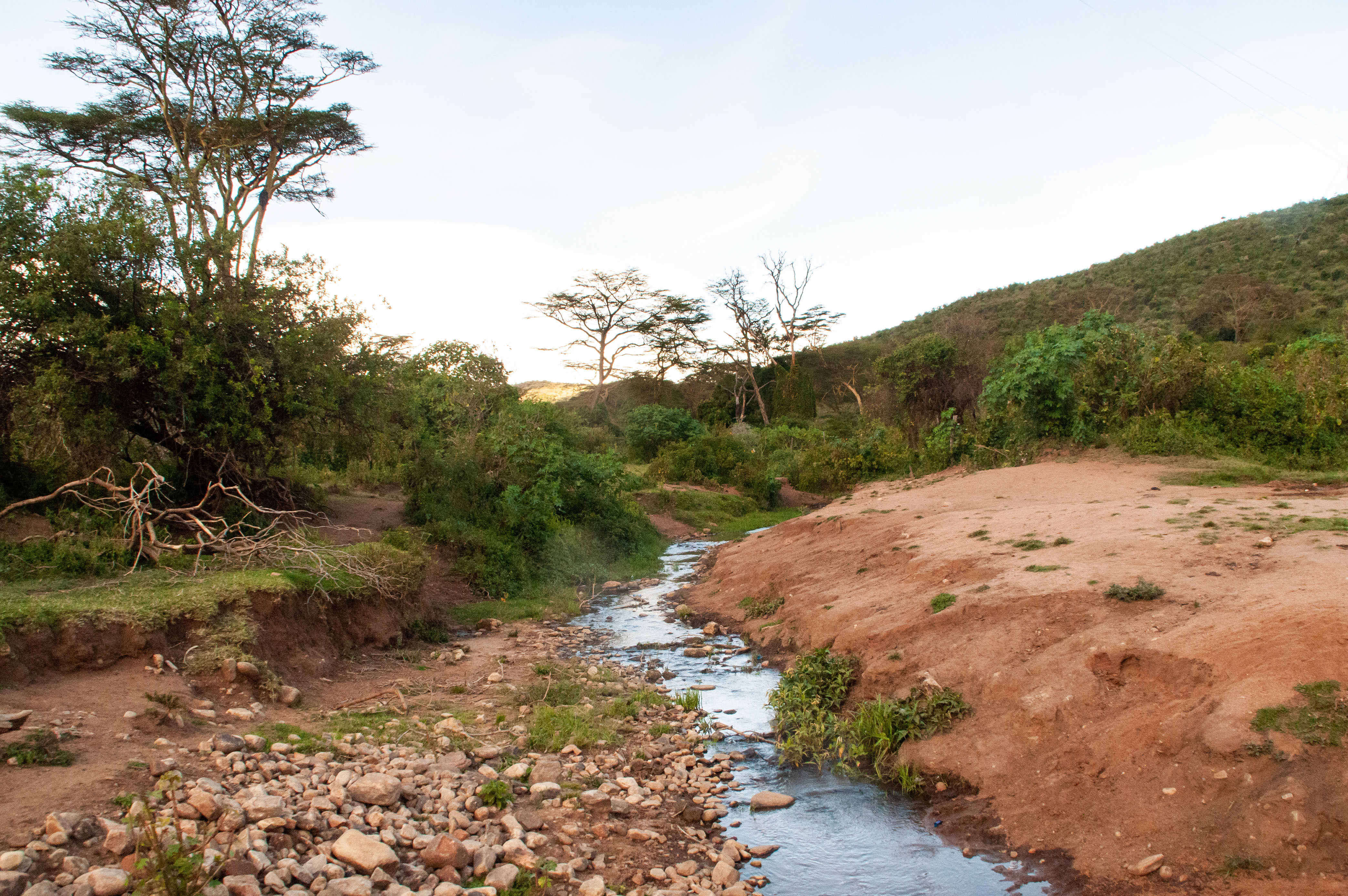 Kenya 2021 - The Art of Ecology