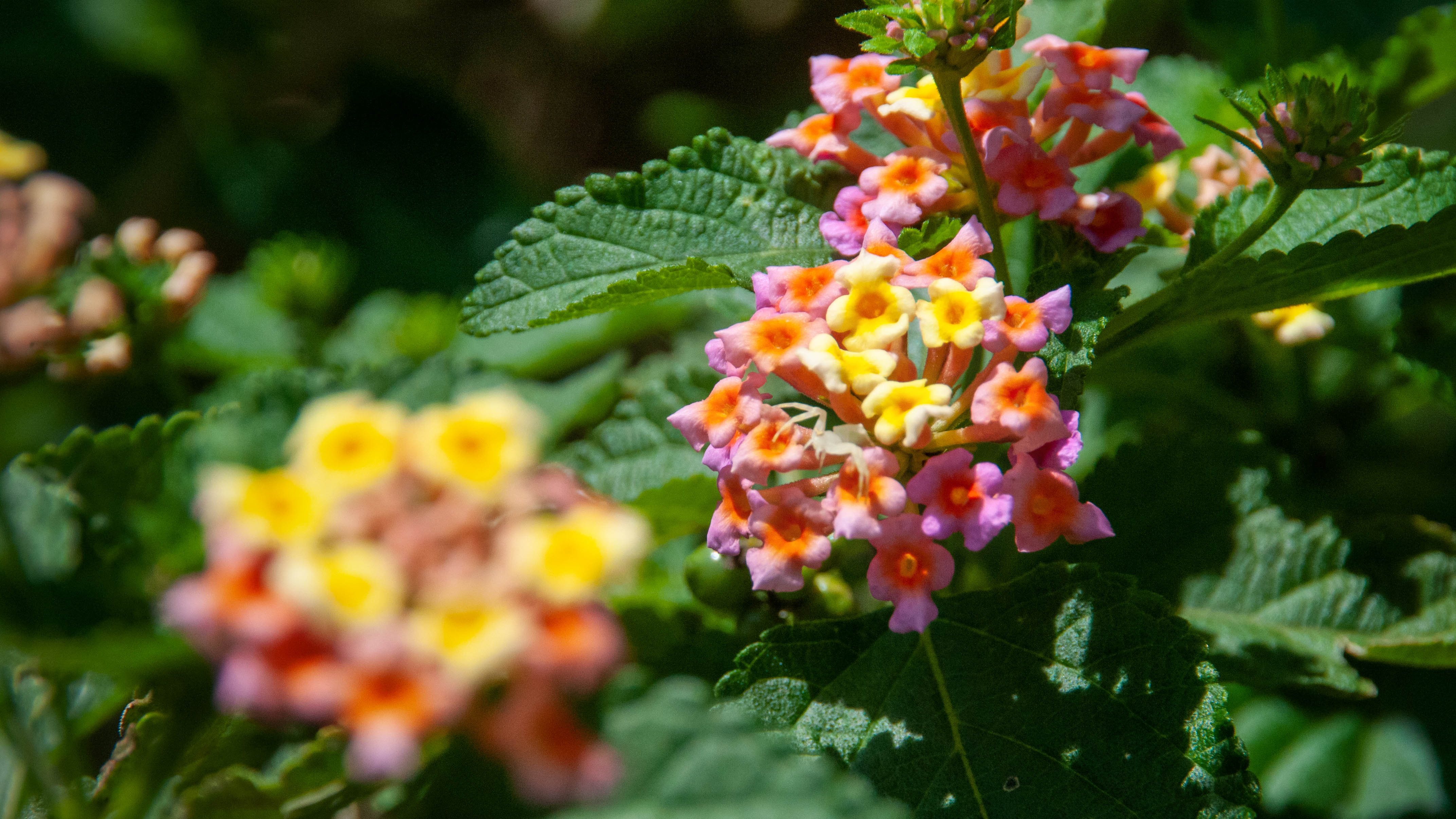 Kenya 2021 – The Art of Ecology