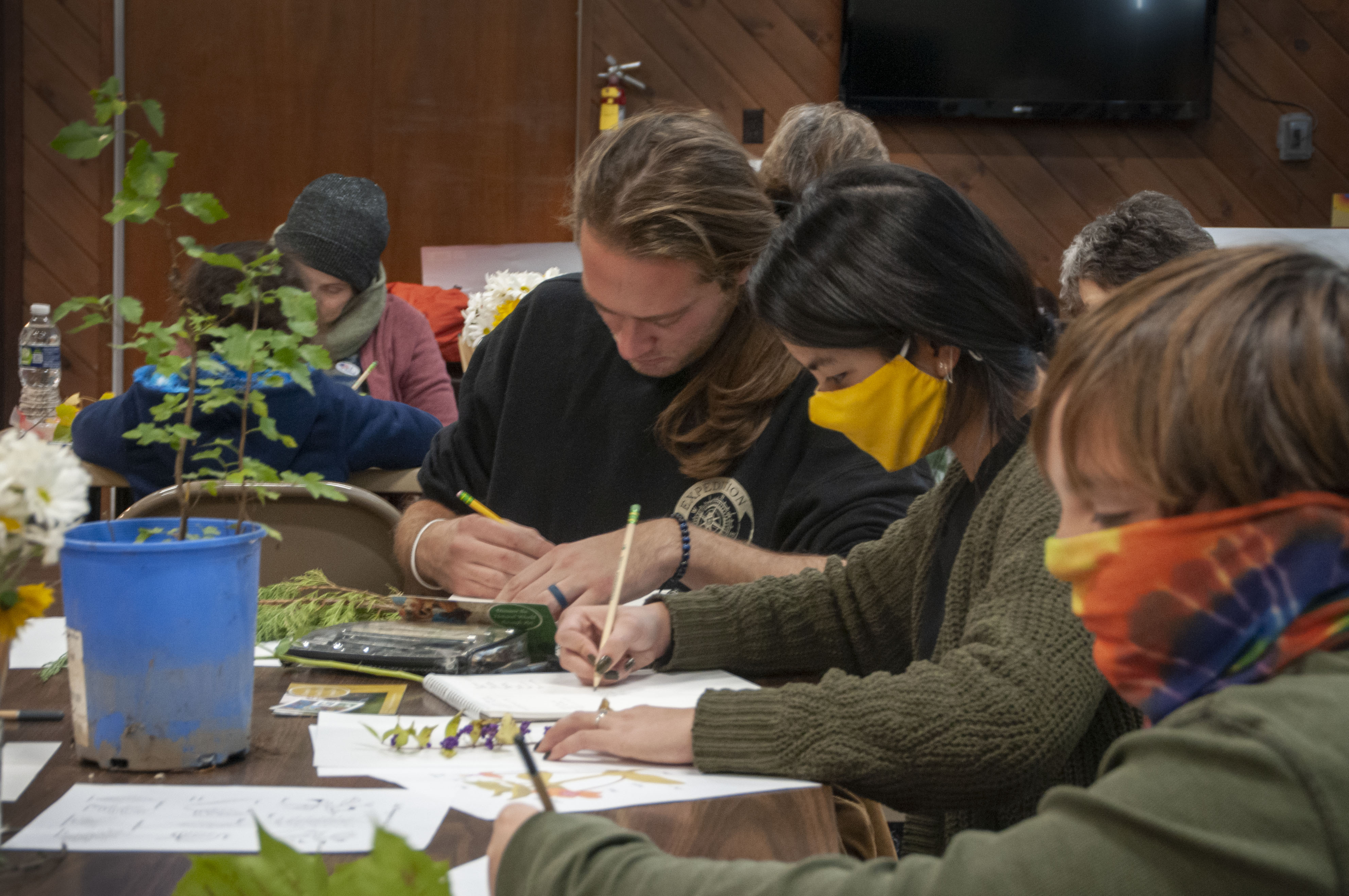 Botanical Illustration Class: Snowdrops & Skunk Cabbage (Advanced ...