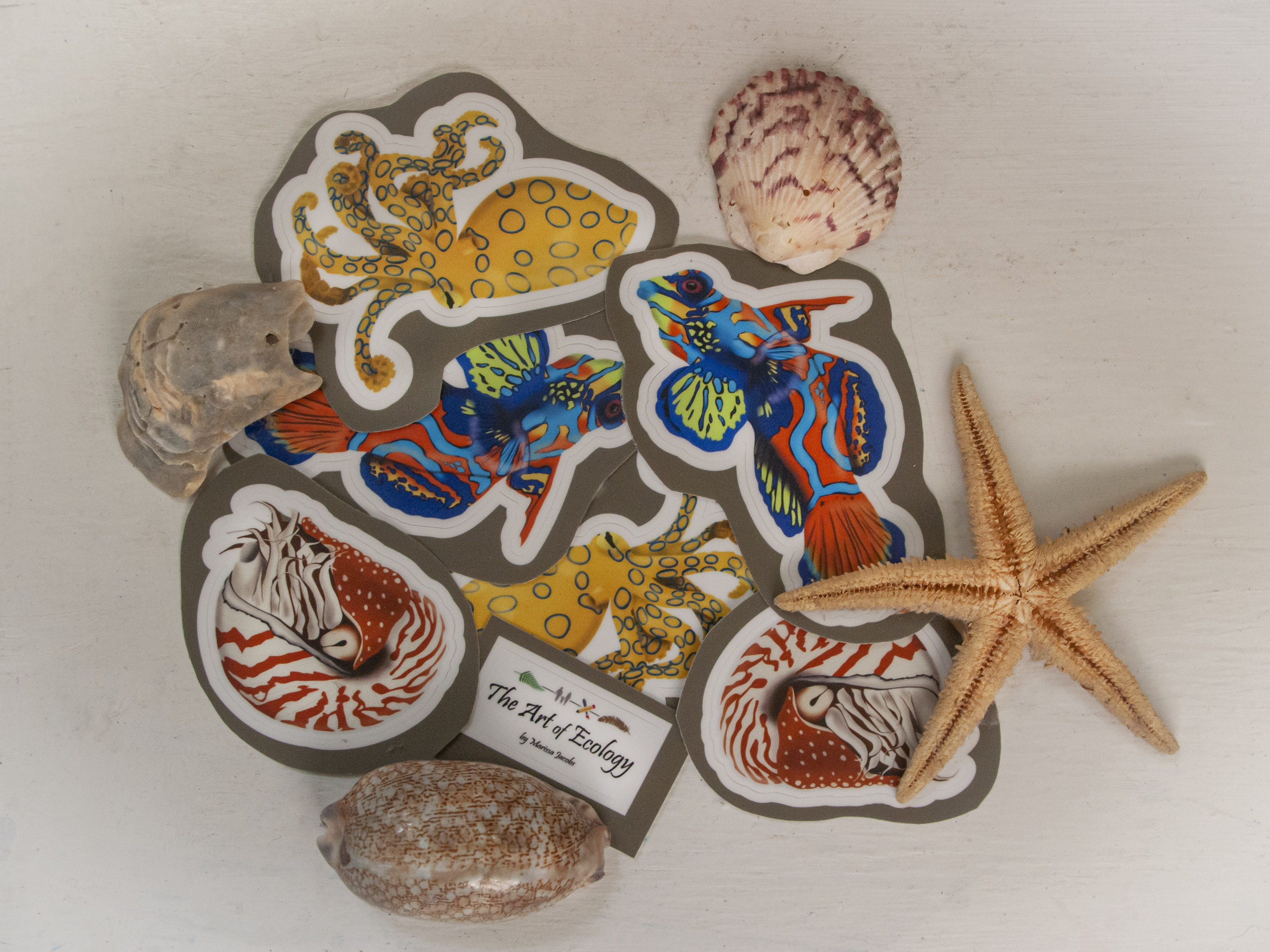 Ocean Critters Sticker Set - The Art of Ecology