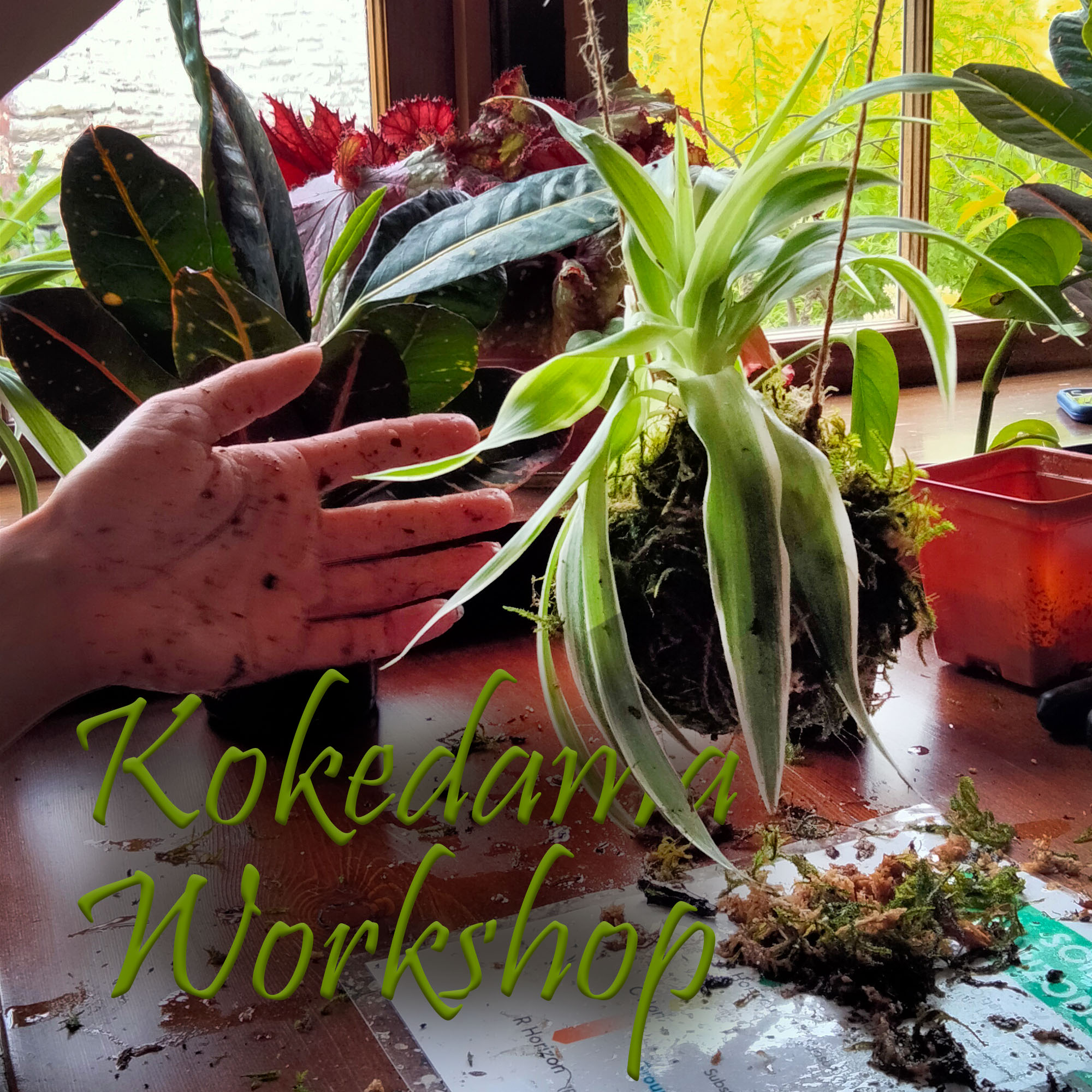 Kokedama Moss Ball Workshop - The Art of Ecology