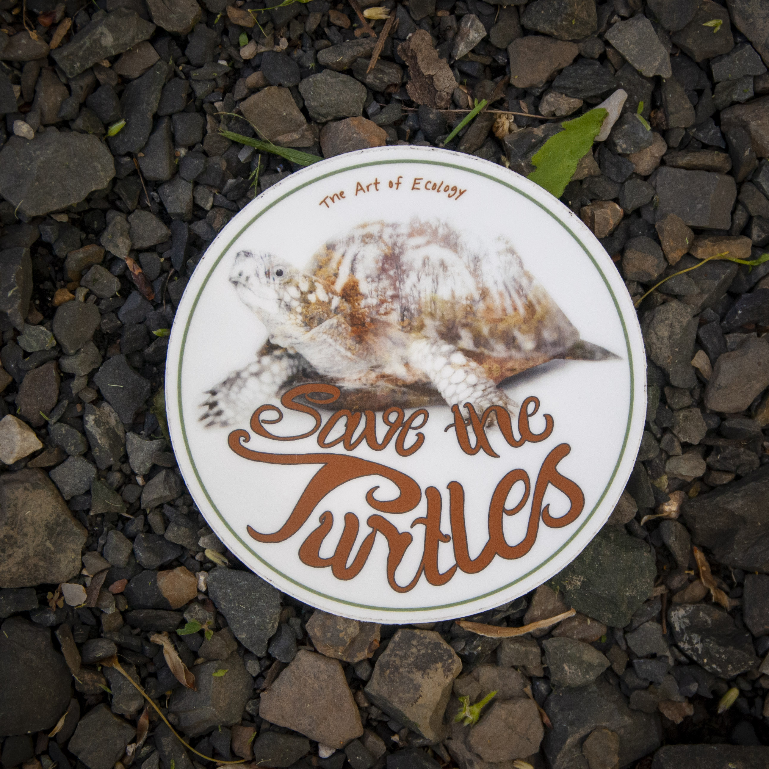 Save the Turtles Vinyl Sticker - The Art of Ecology