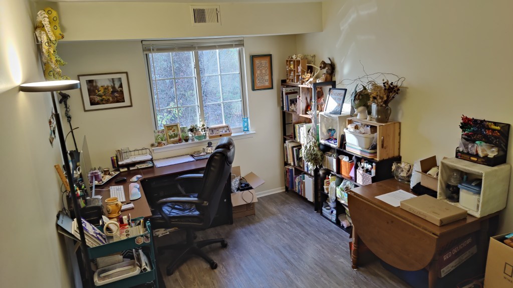 A Behind the Scenes Look at my Studio - The Art of Ecology
