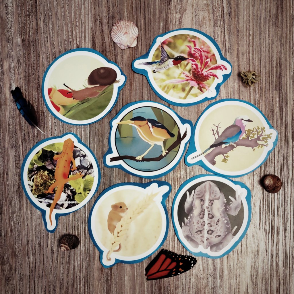 Wildlife Circle Stickers (variety) - The Art of Ecology