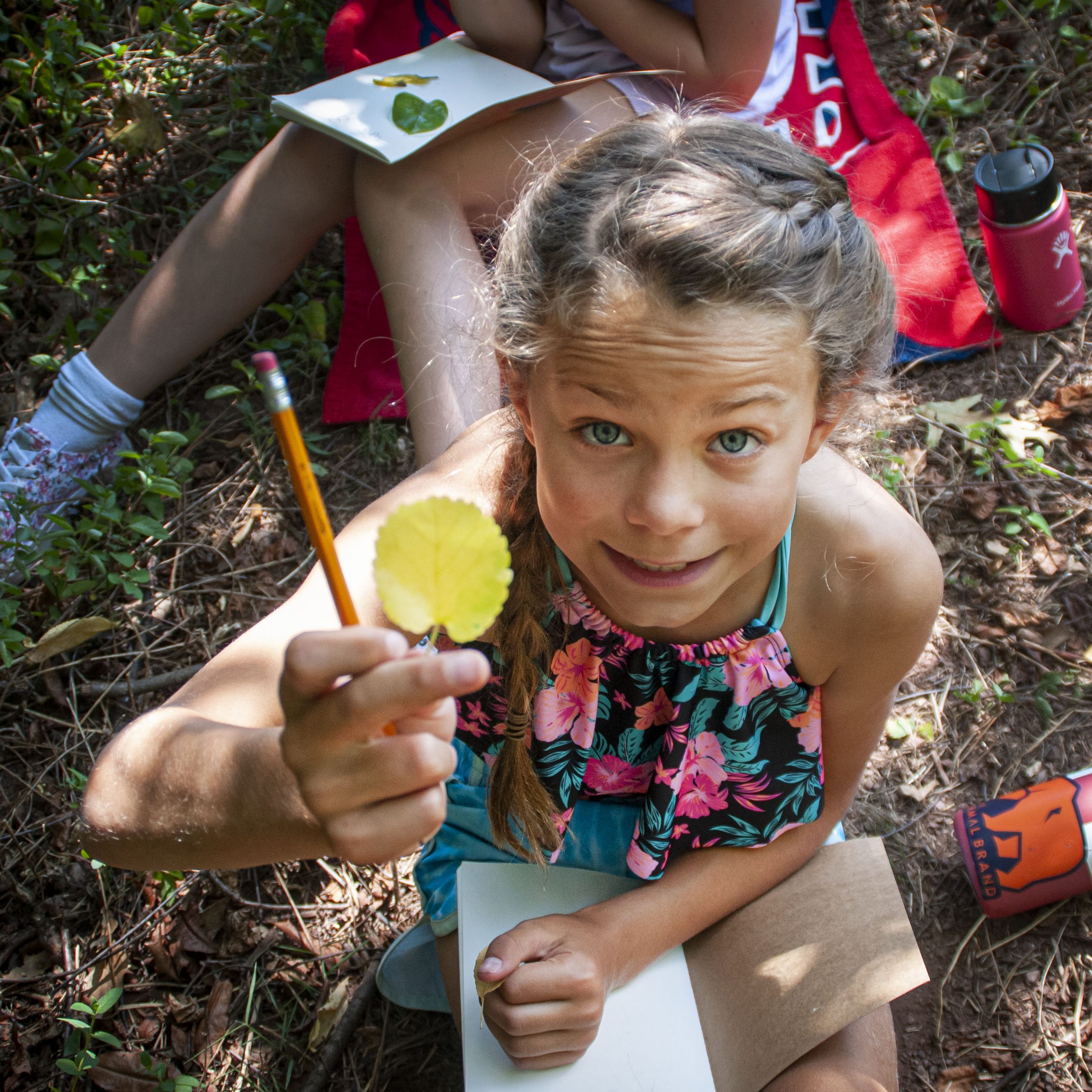 Autumn Nature Explorer's Classes - The Art of Ecology
