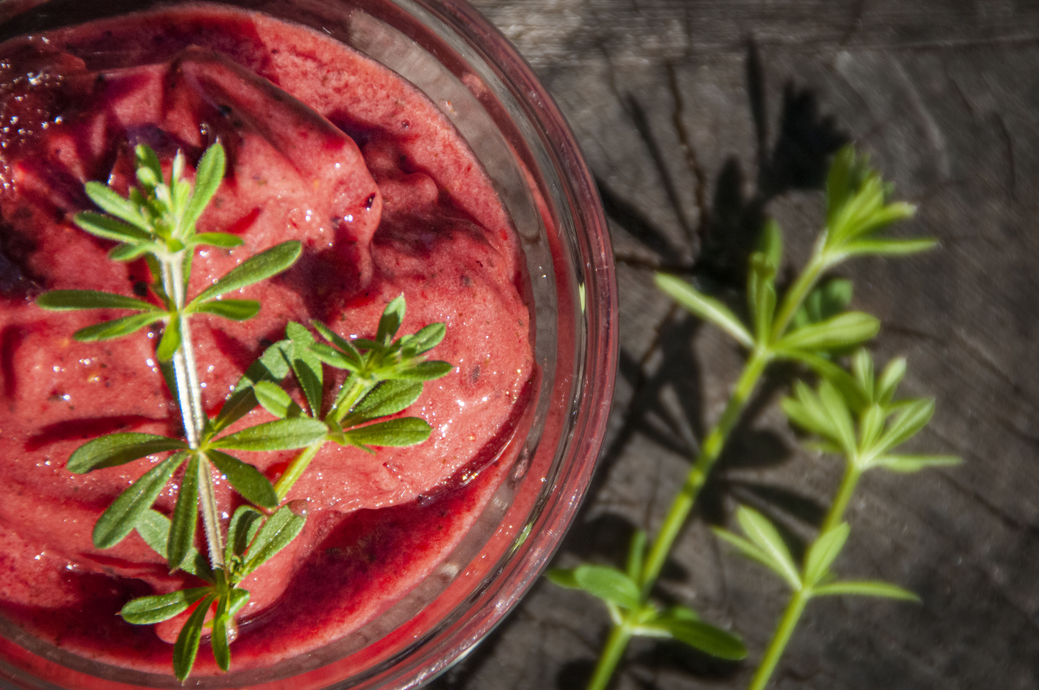 Foraged Snacks to Celebrate Snack Food Month! - The Art of Ecology