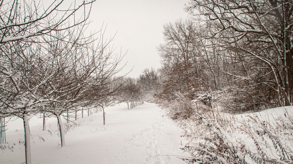 Role of Snow Melt in Healthy Ecosystems - The Art of Ecology