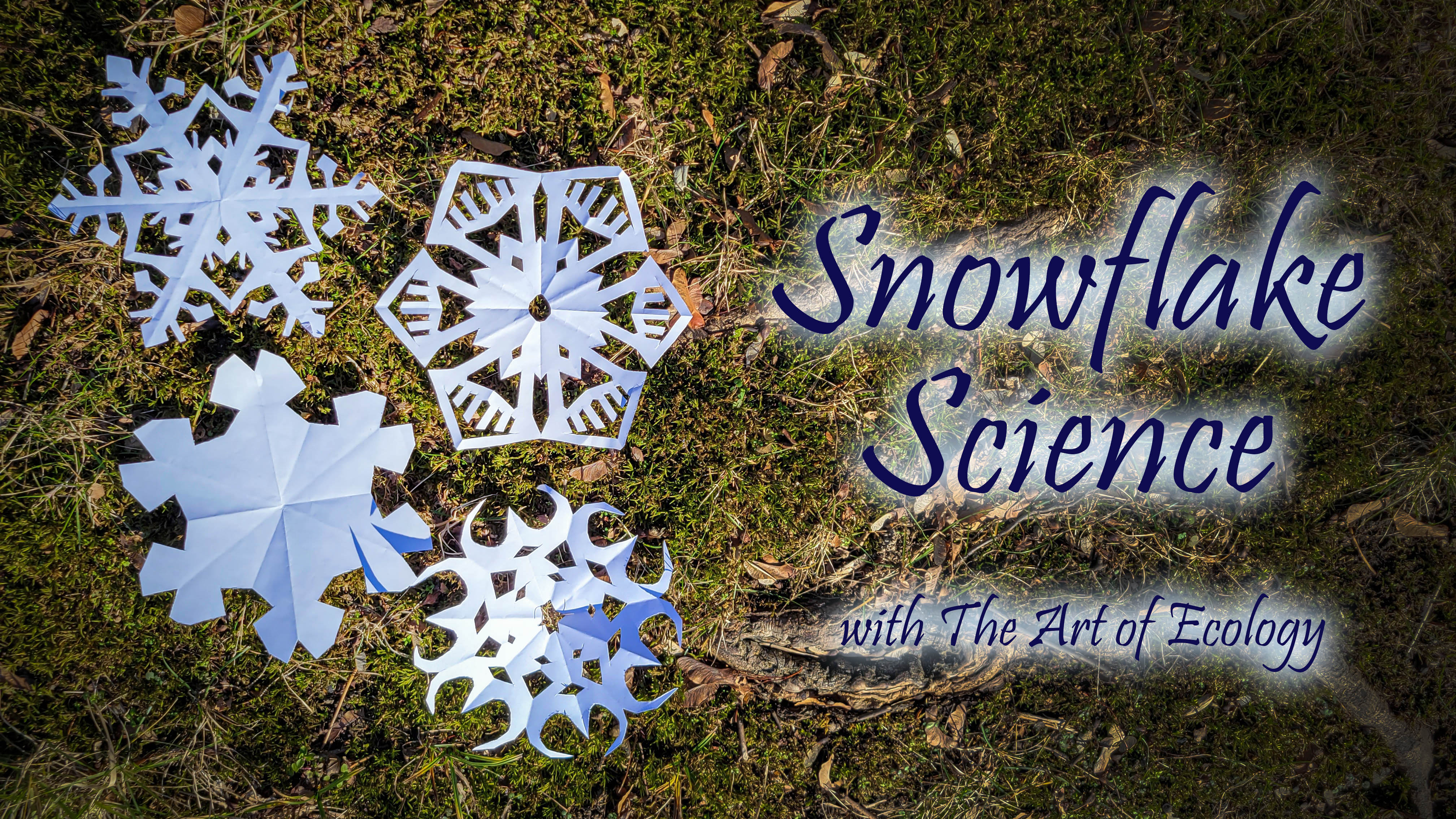 Snowflake Science Nature Play - The Art of Ecology